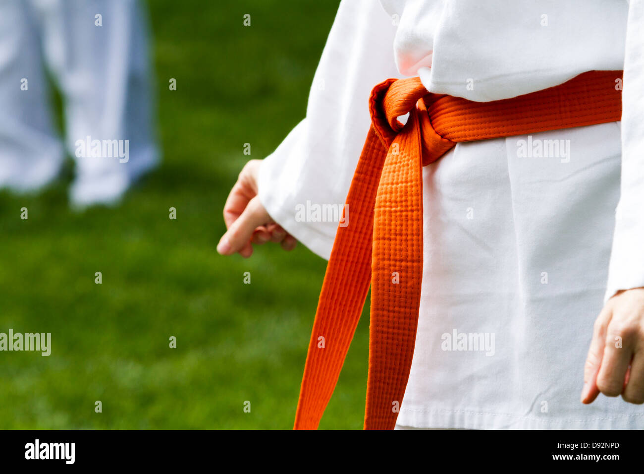 Tae Kwon Do student practicing in the park Stock Photo - Alamy