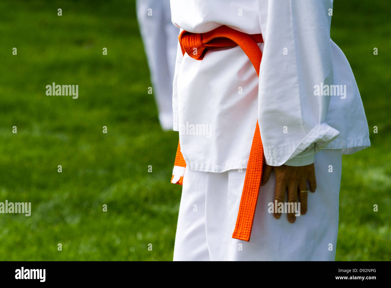 Tae Kwon Do student practicing in the park Stock Photo - Alamy