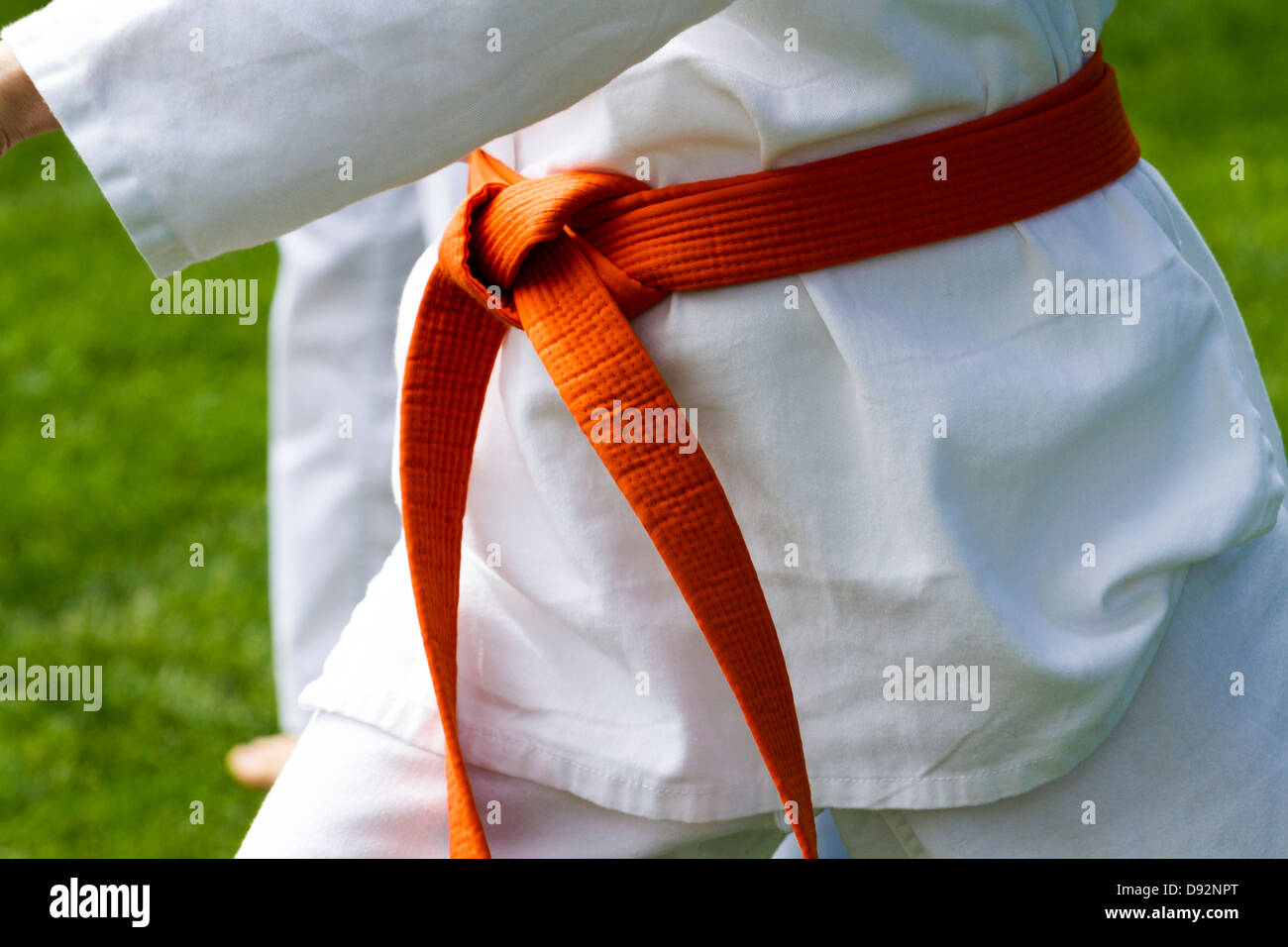 Tae Kwon Do student practicing in the park Stock Photo - Alamy