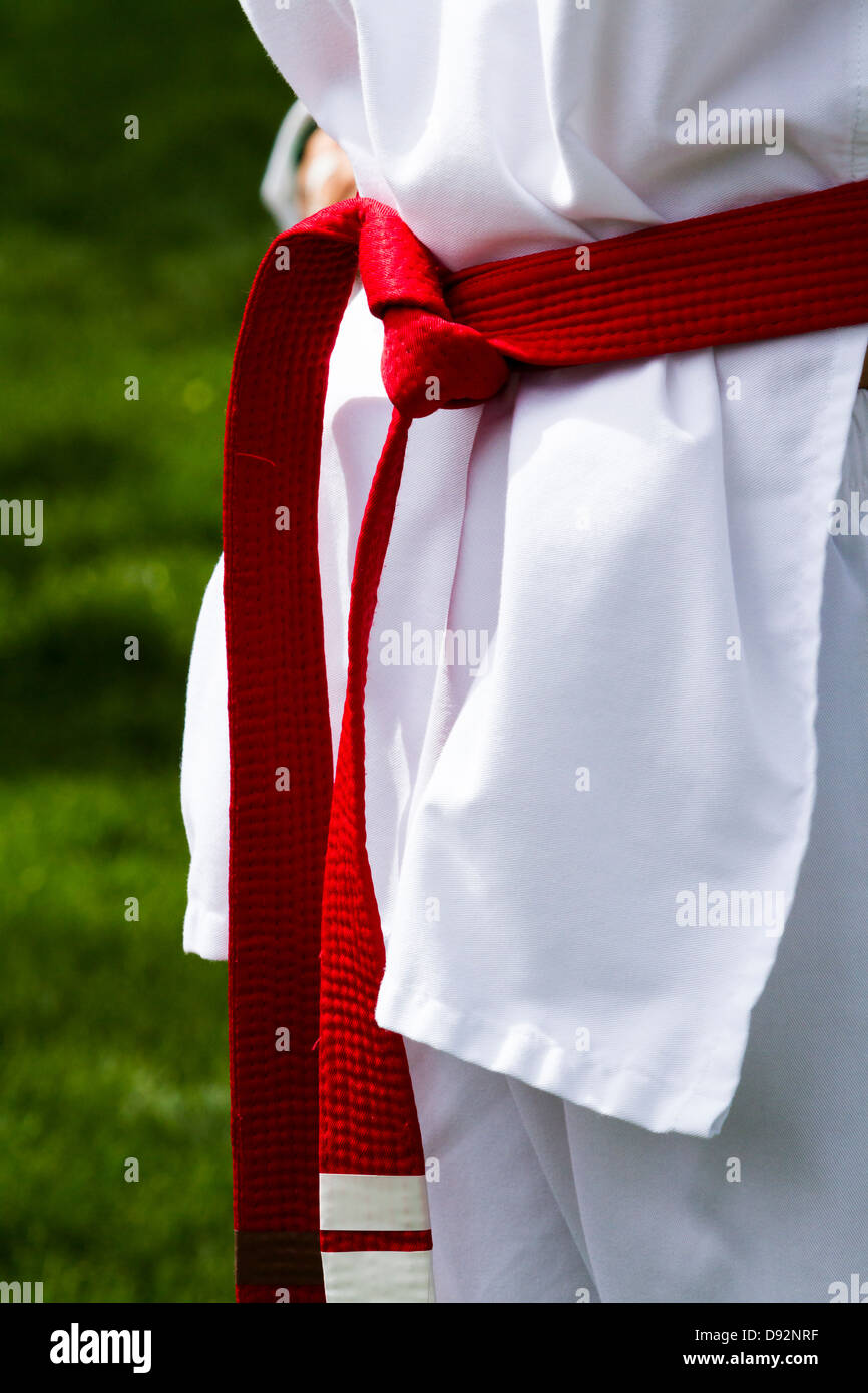 Tae Kwon Do student practicing in the park Stock Photo - Alamy