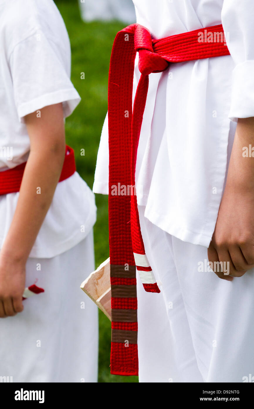 Tae Kwon Do student practicing in the park Stock Photo - Alamy