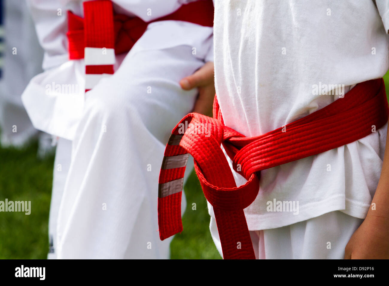 Tae Kwon Do student practicing in the park Stock Photo - Alamy