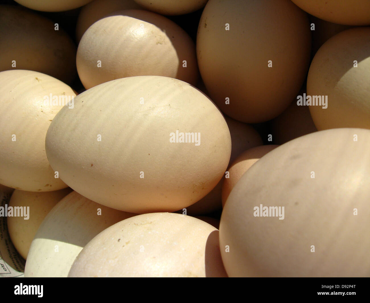 the image of a lot of eggs of the hen Stock Photo - Alamy