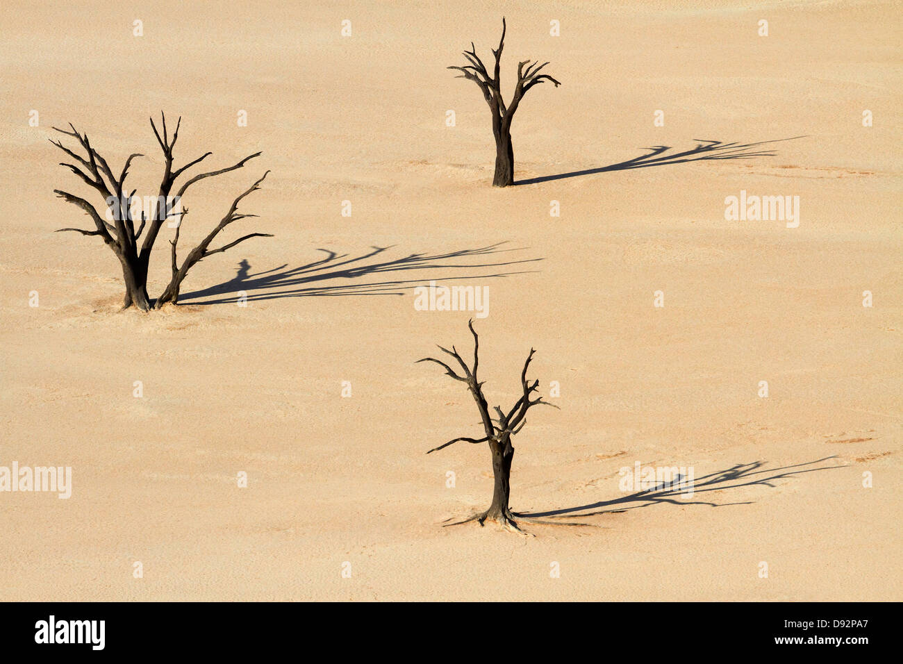 900 years old hi-res stock photography and images - Alamy