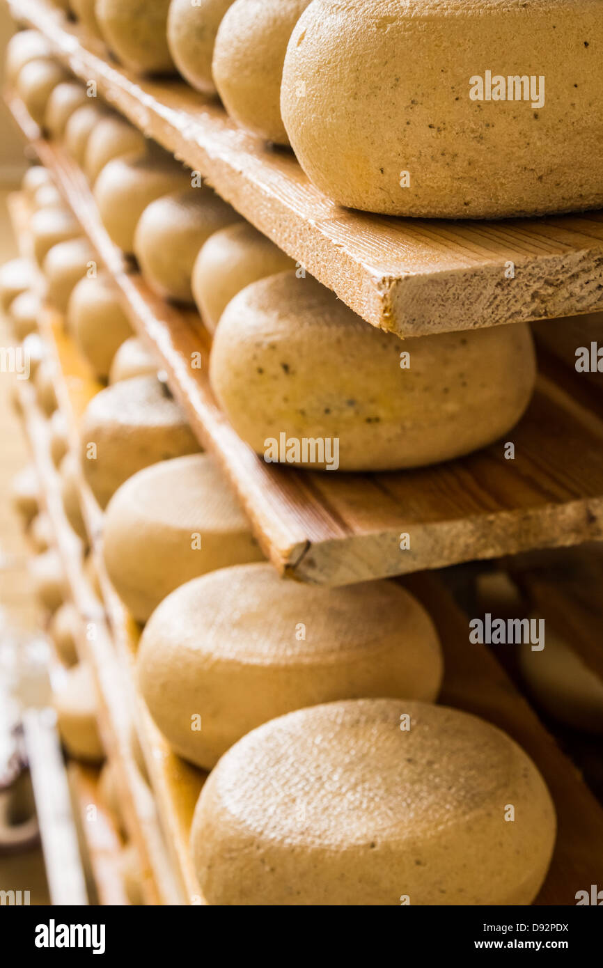 Ripened cheeses hi-res stock photography and images - Alamy