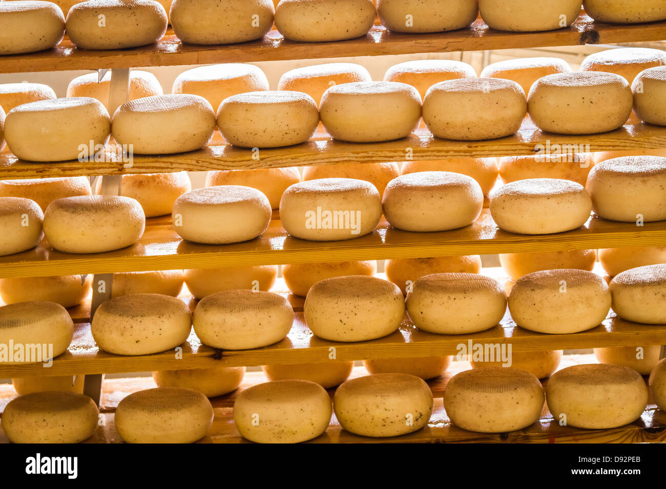 Aged sheep cheese on the shelves Stock Photo - Alamy