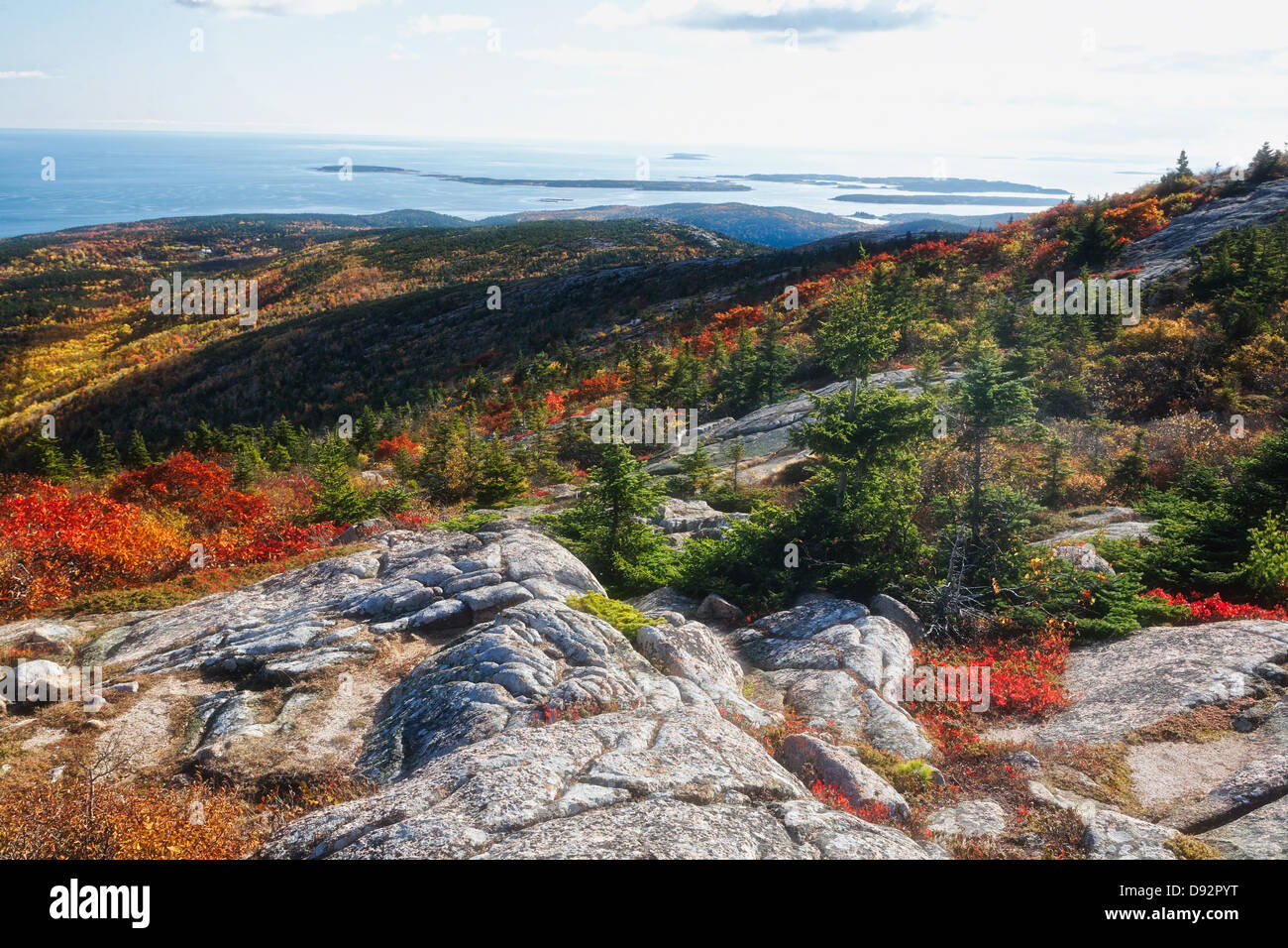 Acadia cadillac mountains hi-res stock photography and images - Alamy