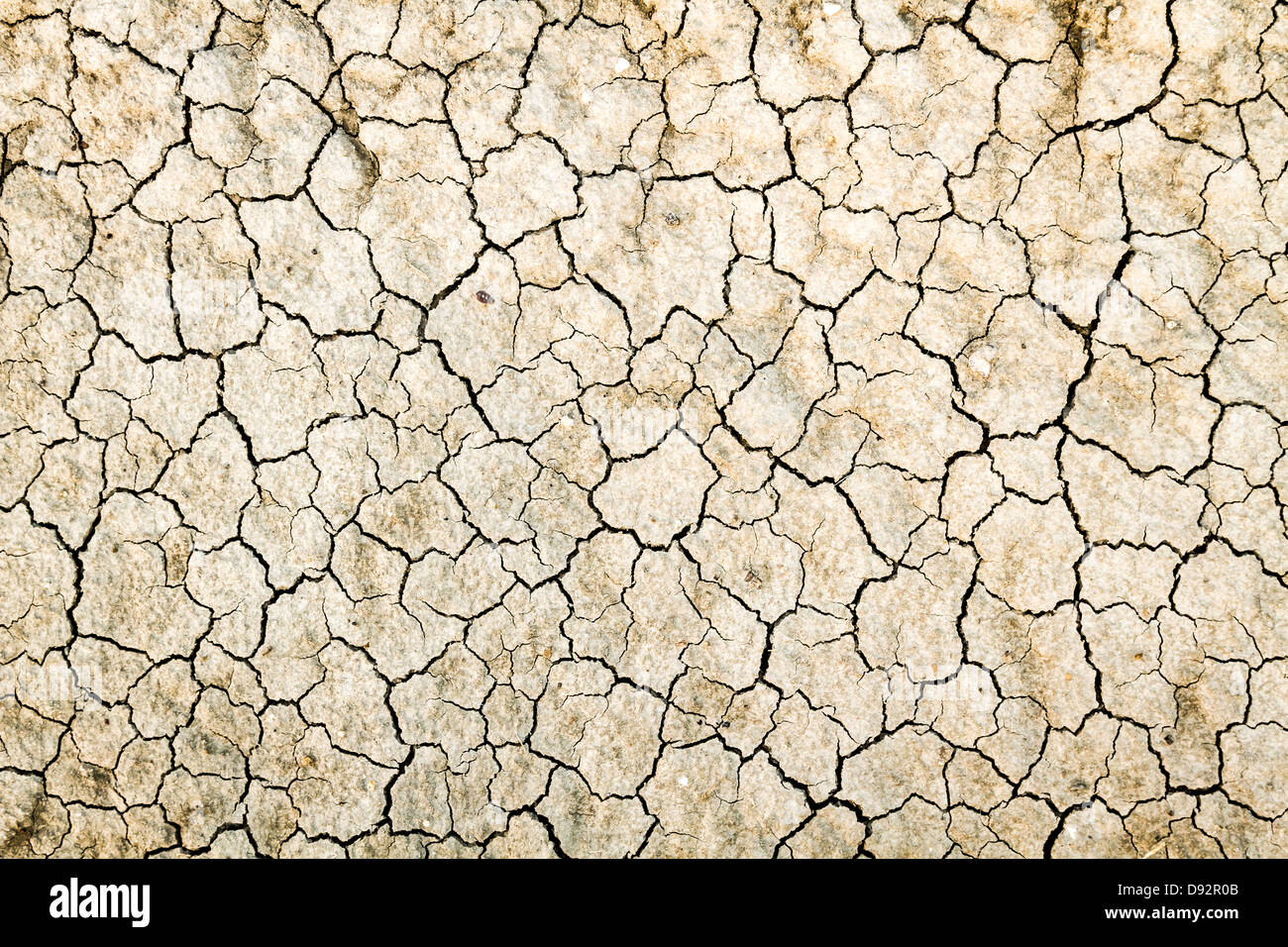 Cracked dry land without water Stock Photo - Alamy