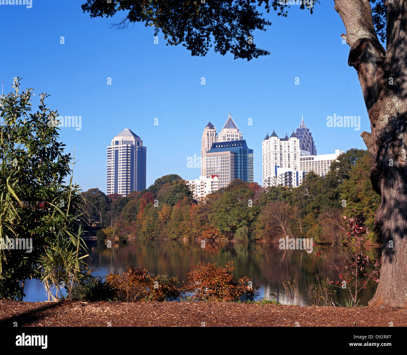 Skyscrapers, trees and lake in Piedmont Park, Atlanta, Georgia, USA ...