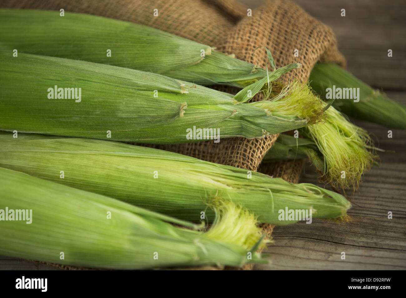 Sack of corn hi-res stock photography and images - Alamy