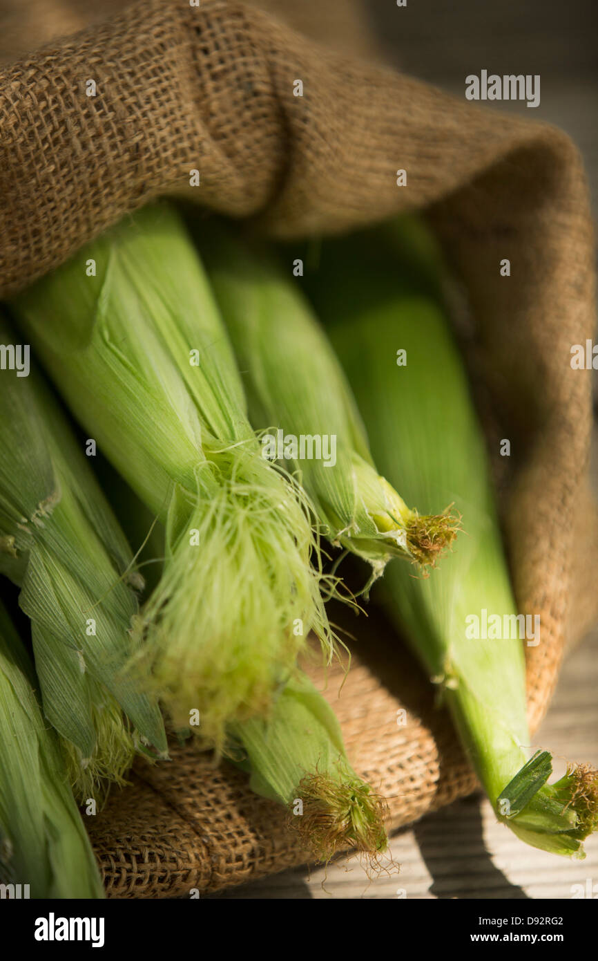Sack of corn hi-res stock photography and images - Alamy