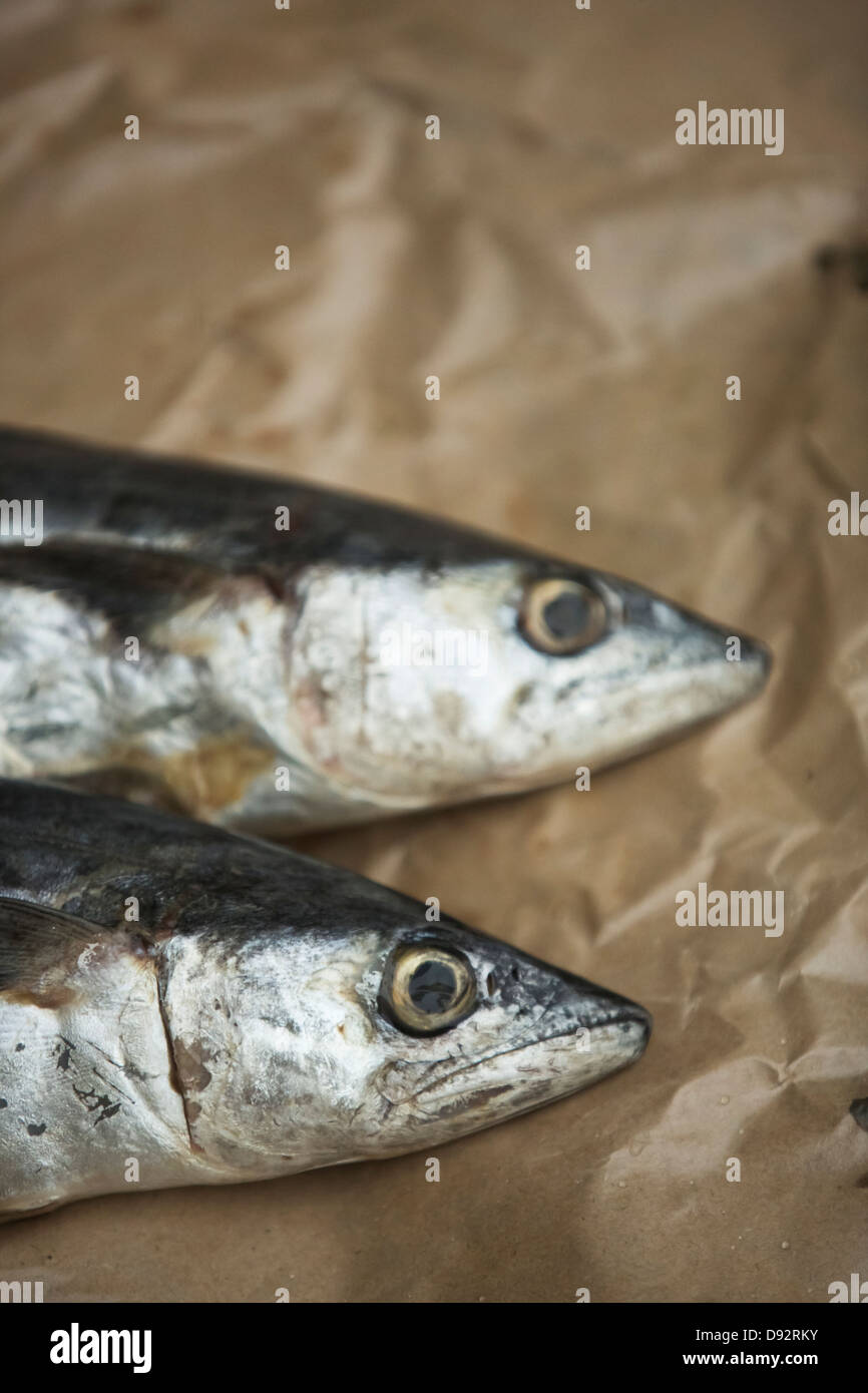 Heads wax hi-res stock photography and images - Alamy