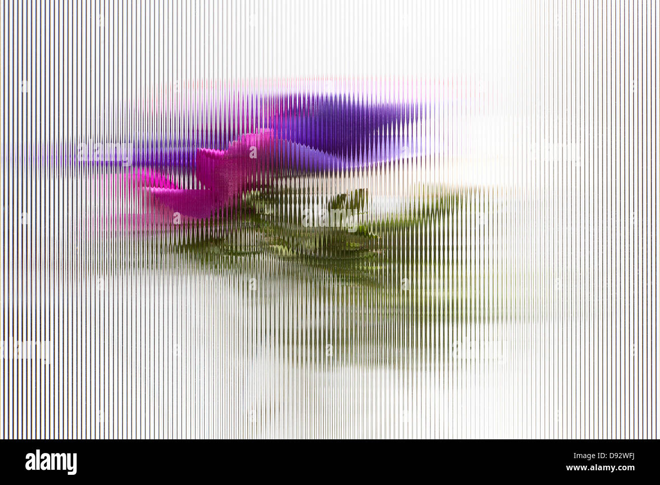 See through flower transparent hi-res stock photography and images - Alamy