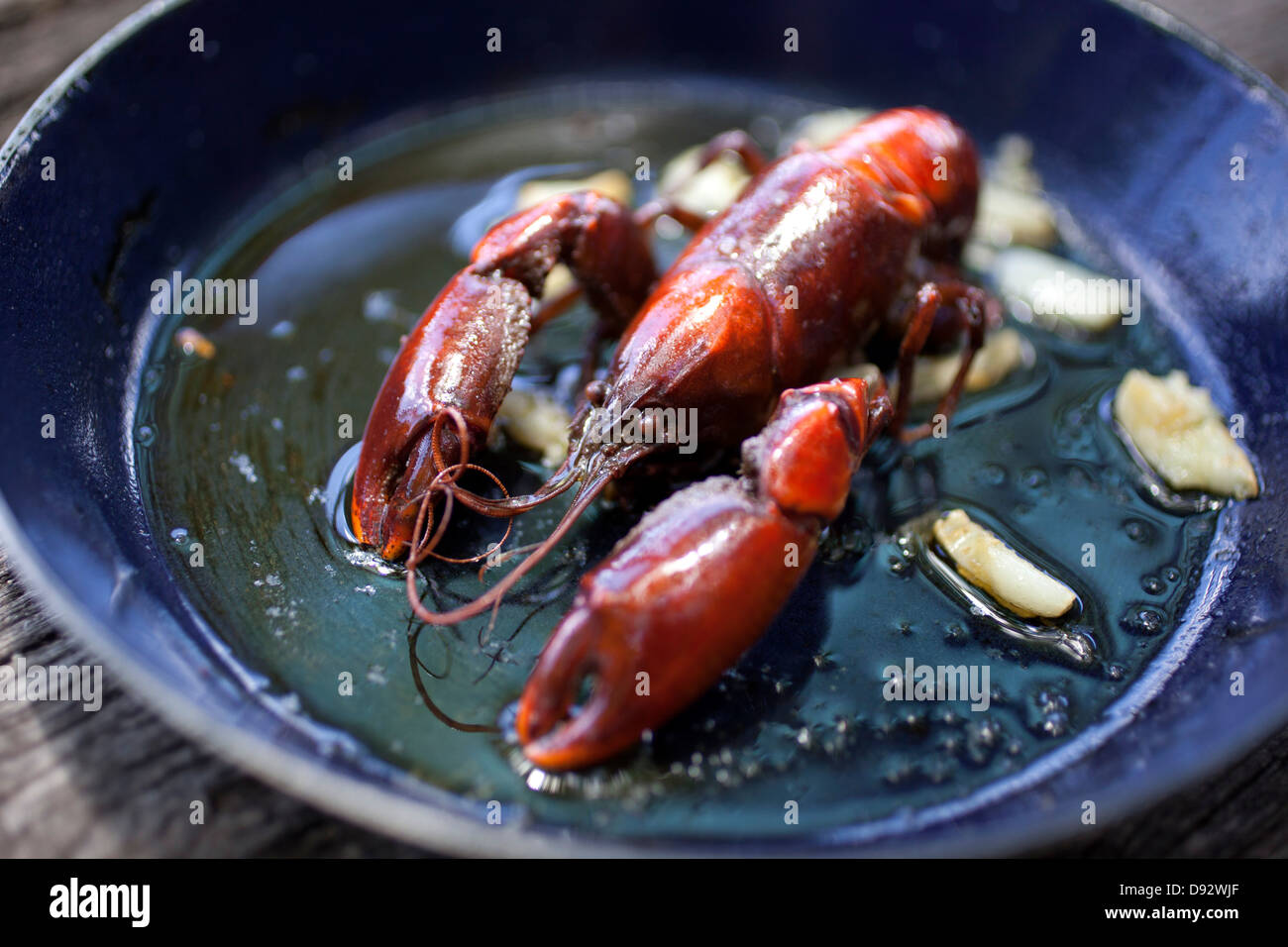 Freshwater Yabby (Cherax destructor) cooked in oil with garlic Stock ...