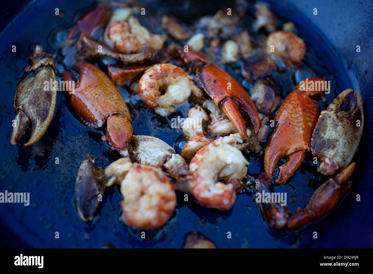 Freshwater Yabby claws and prawns in cooking oil in pan Stock Photo - Alamy