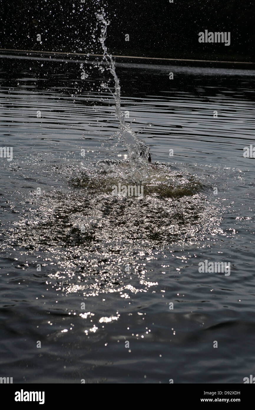 Rippled reflection on water hi-res stock photography and images - Alamy