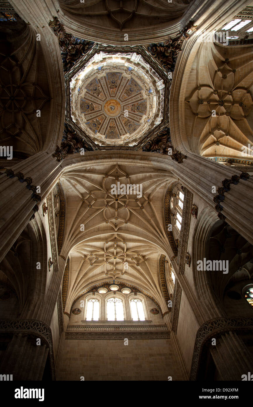Intricate cathedral ceiling hi-res stock photography and images - Alamy