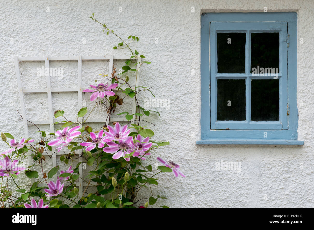 Trellis window hi-res stock photography and images - Alamy