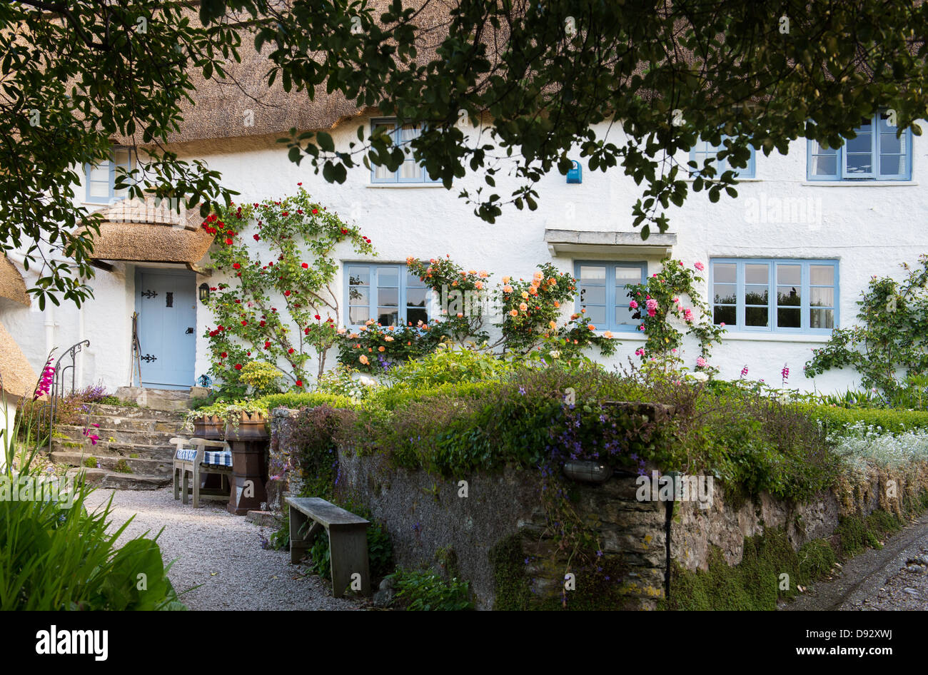 Thatched cob cottage. Ringmore, Devon, England Stock Photo - Alamy