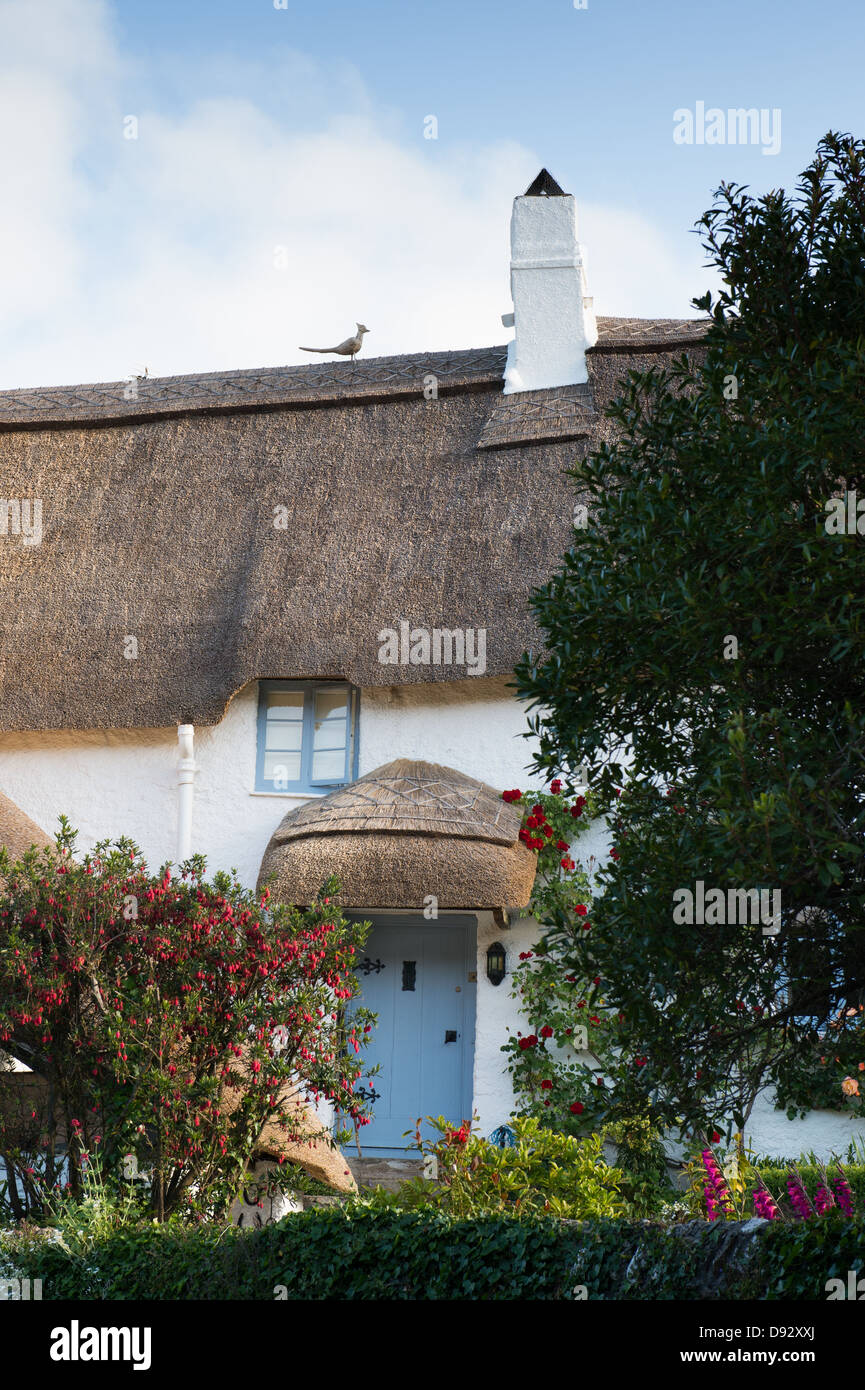 Thatched cob cottage. Ringmore, Devon, England Stock Photo - Alamy