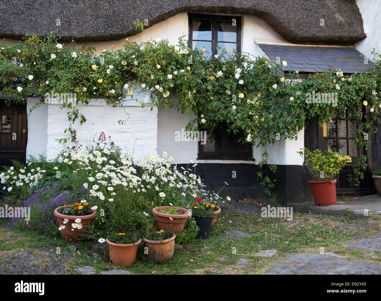 Thatched cob cottage. Ringmore, Devon, England Stock Photo - Alamy