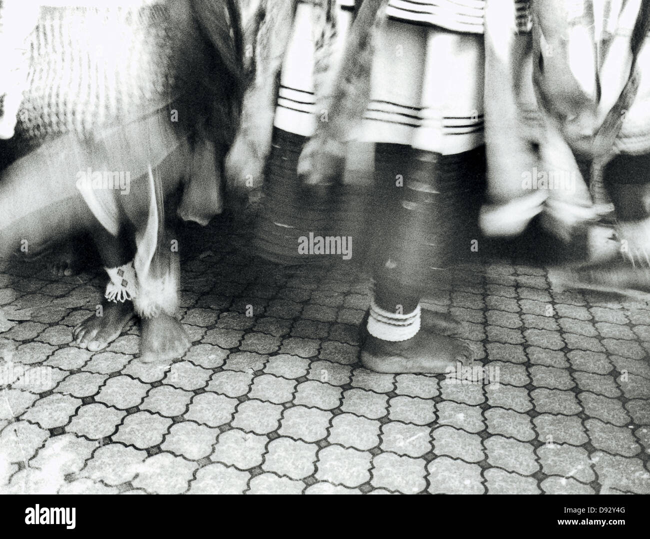 sacred ritual being performed in order initiates to become sangoma ...