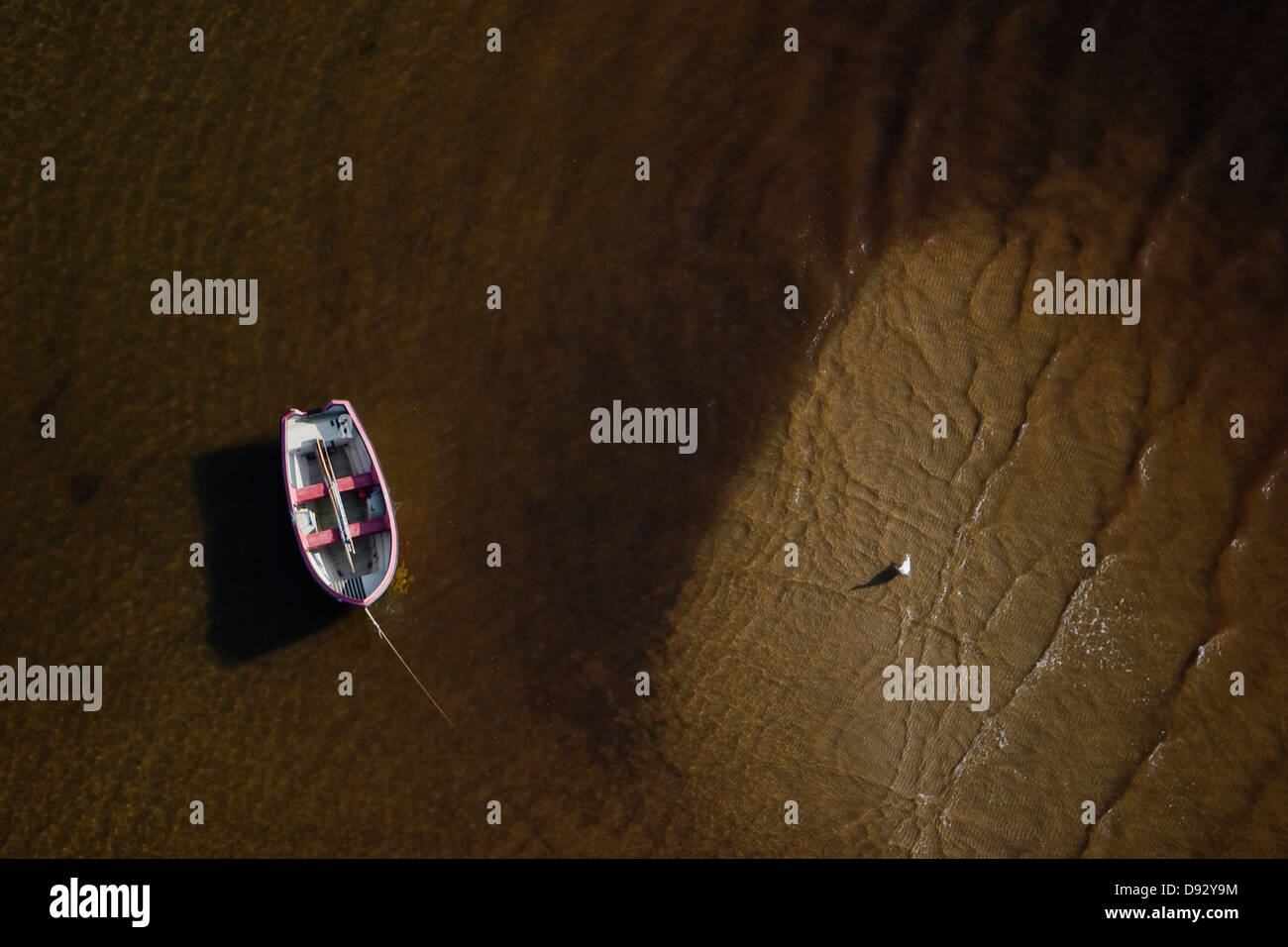 Rowing-boat, Skane, Sweden Stock Photo - Alamy