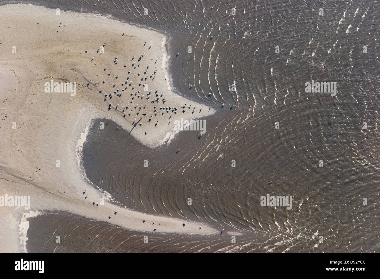 Sandbank background hi-res stock photography and images - Alamy
