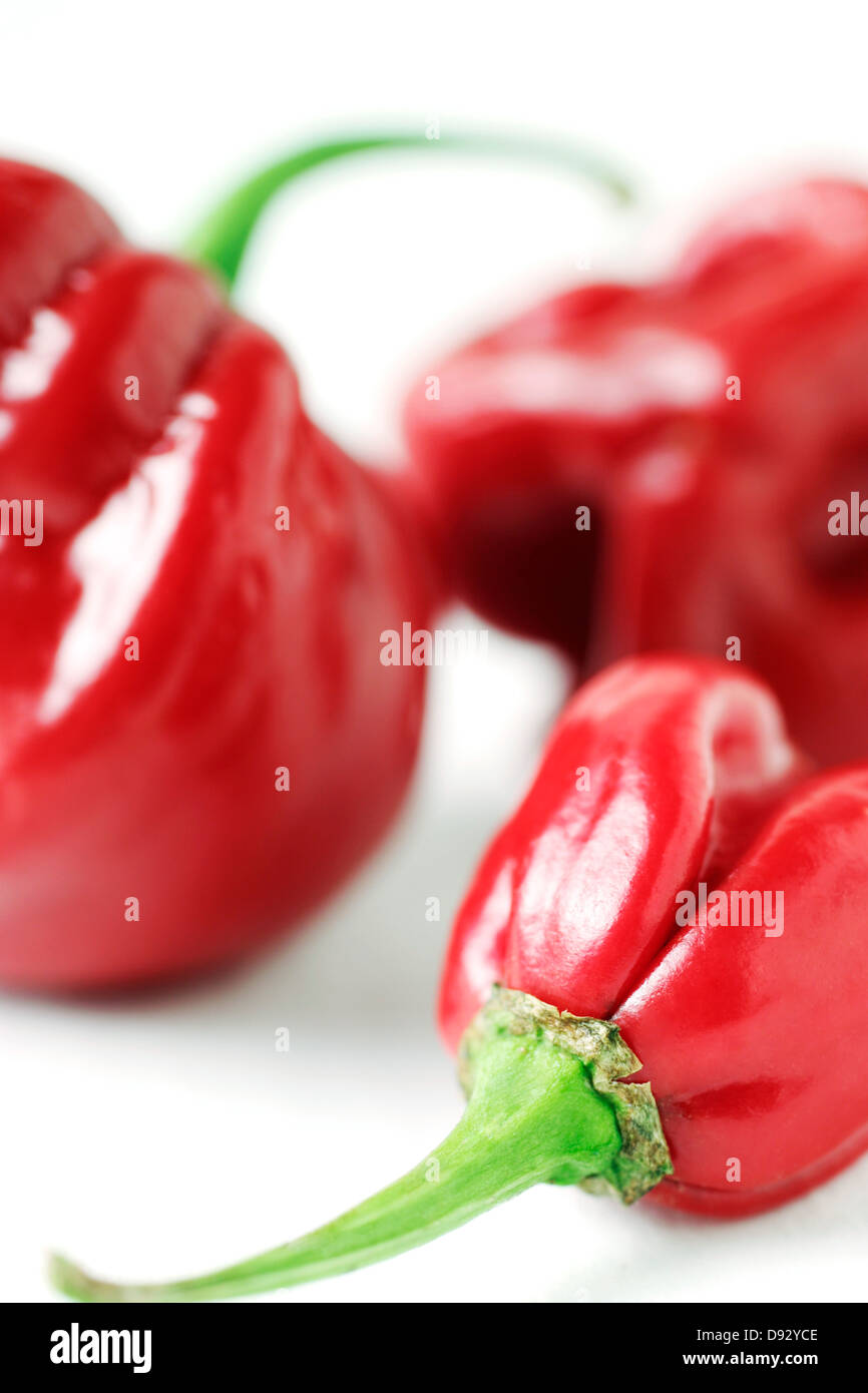 Focus shot red hi-res stock photography and images - Alamy