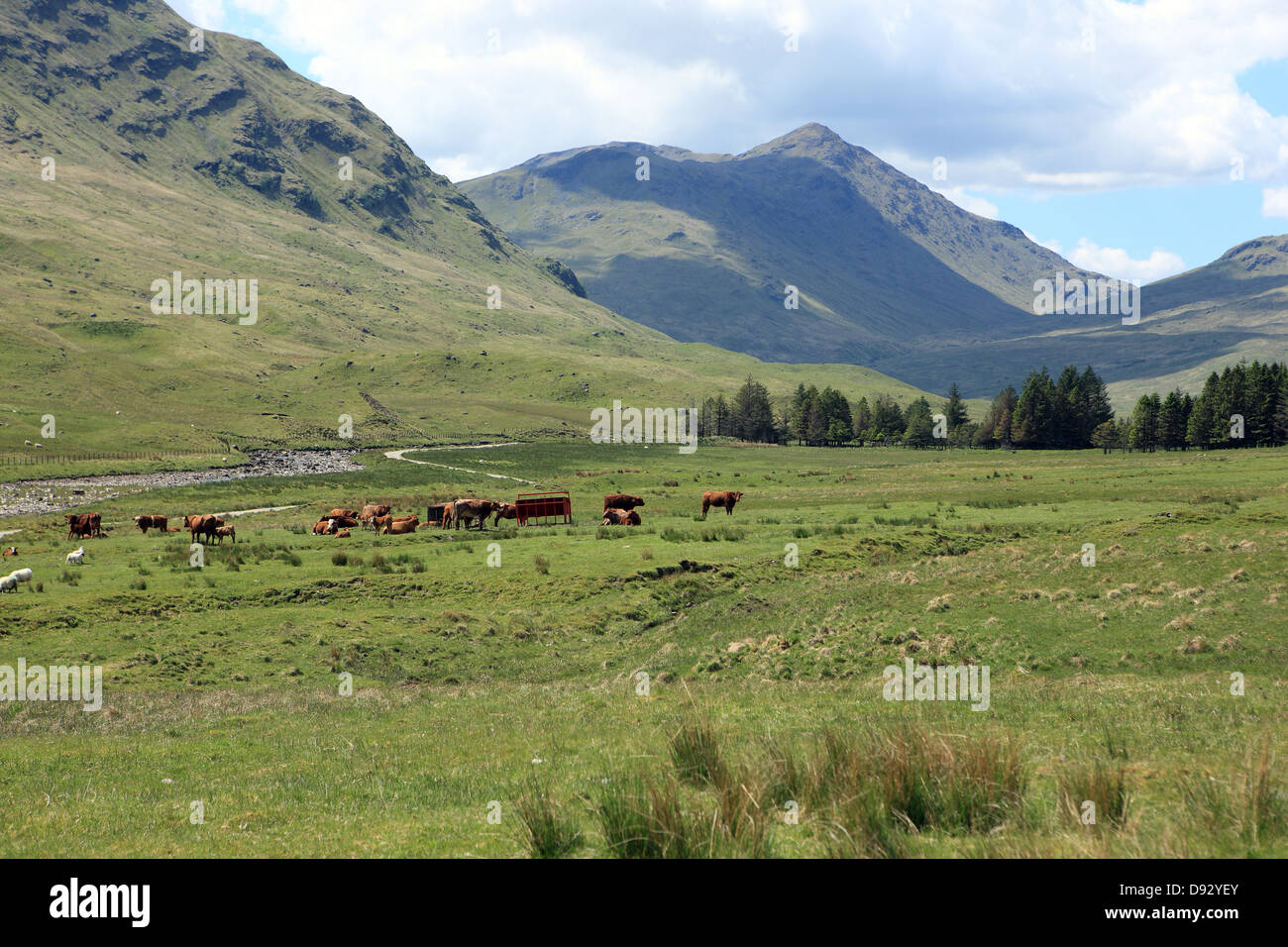 Glen lochay hi-res stock photography and images - Alamy