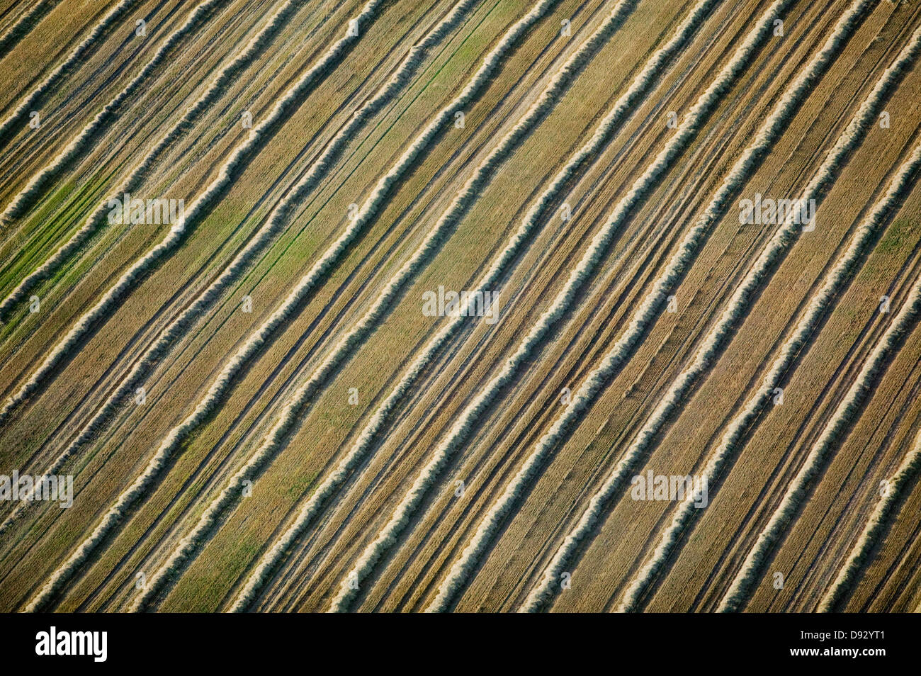 Aerial view of a field, Sweden Stock Photo - Alamy