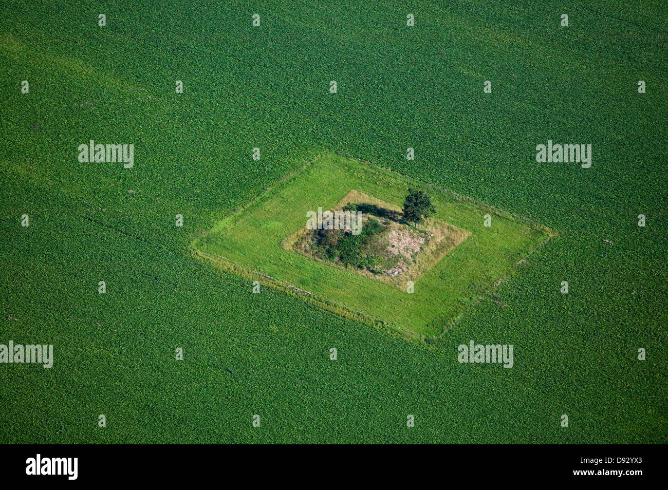 Aerial view of a green field, Sweden Stock Photo - Alamy