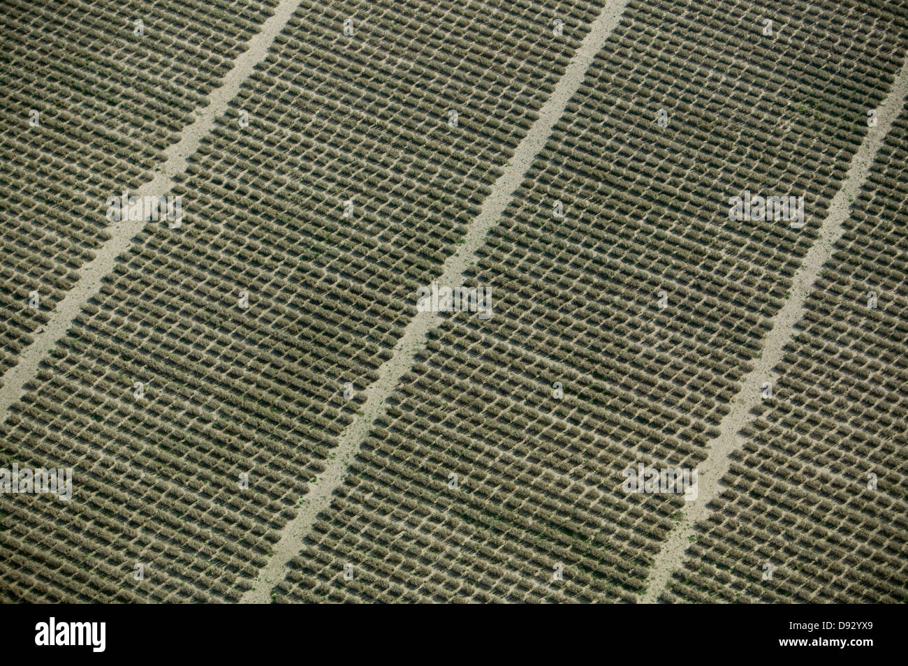 Aerial view of a field, Sweden Stock Photo - Alamy