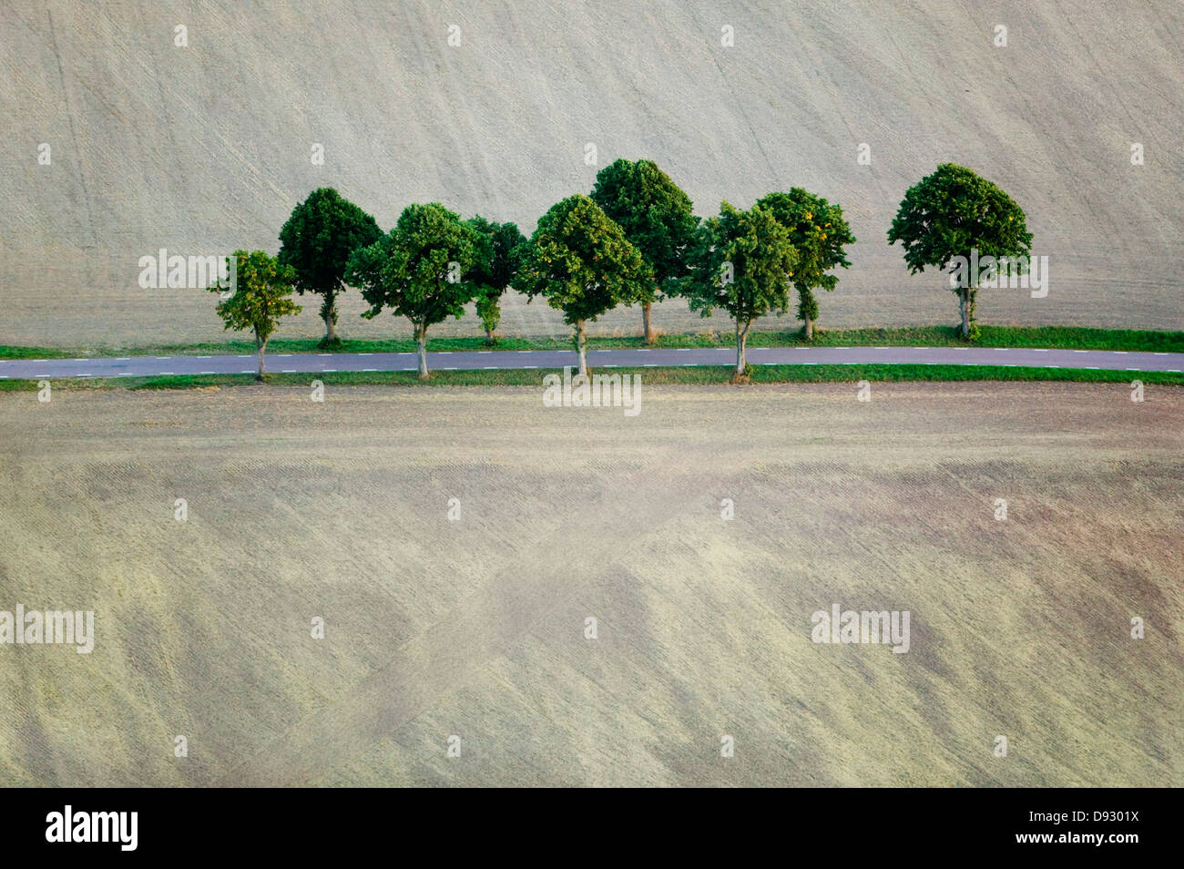 Swede field hi-res stock photography and images - Alamy