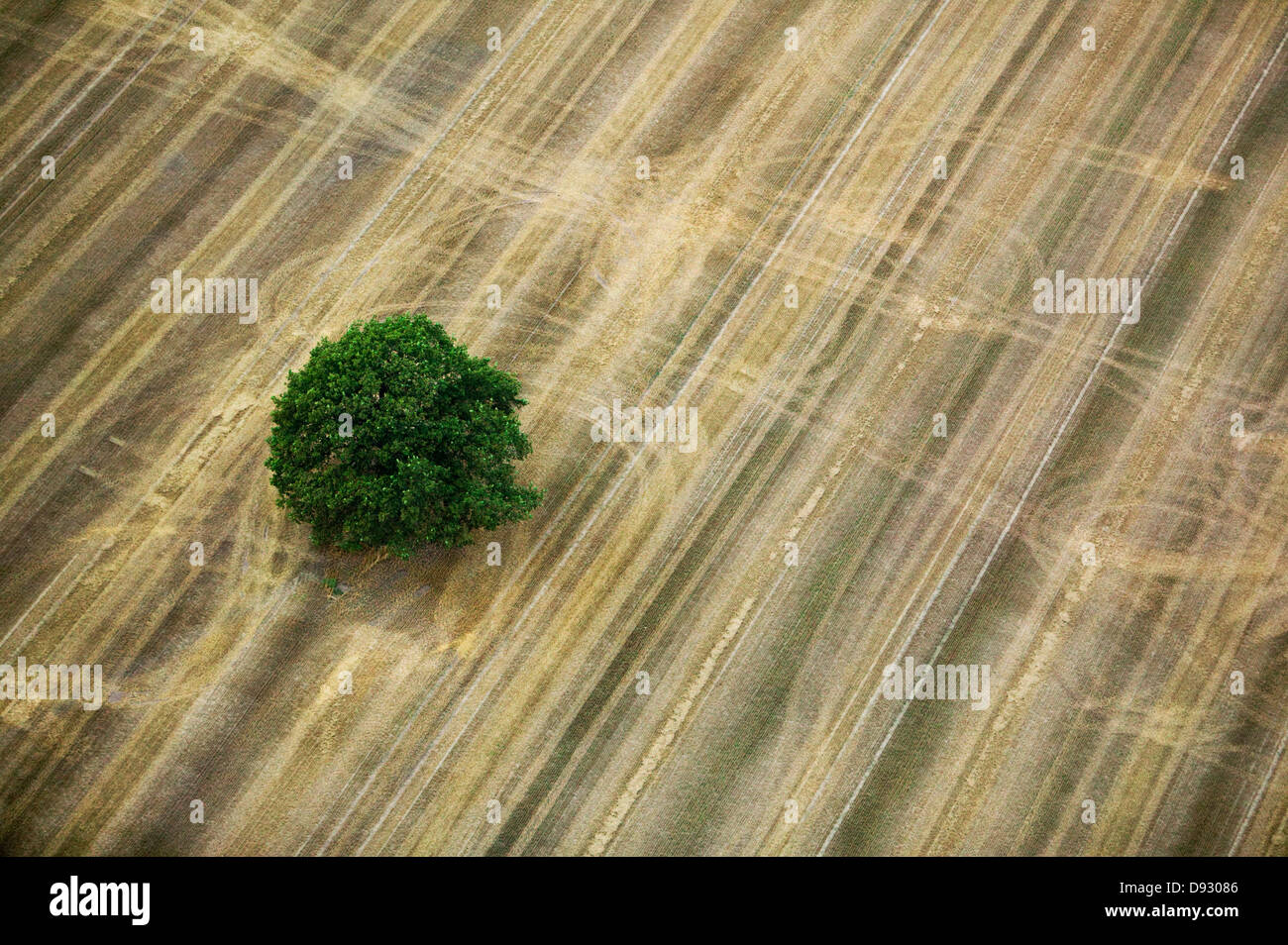 Aerial photography of a field, Sweden Stock Photo - Alamy