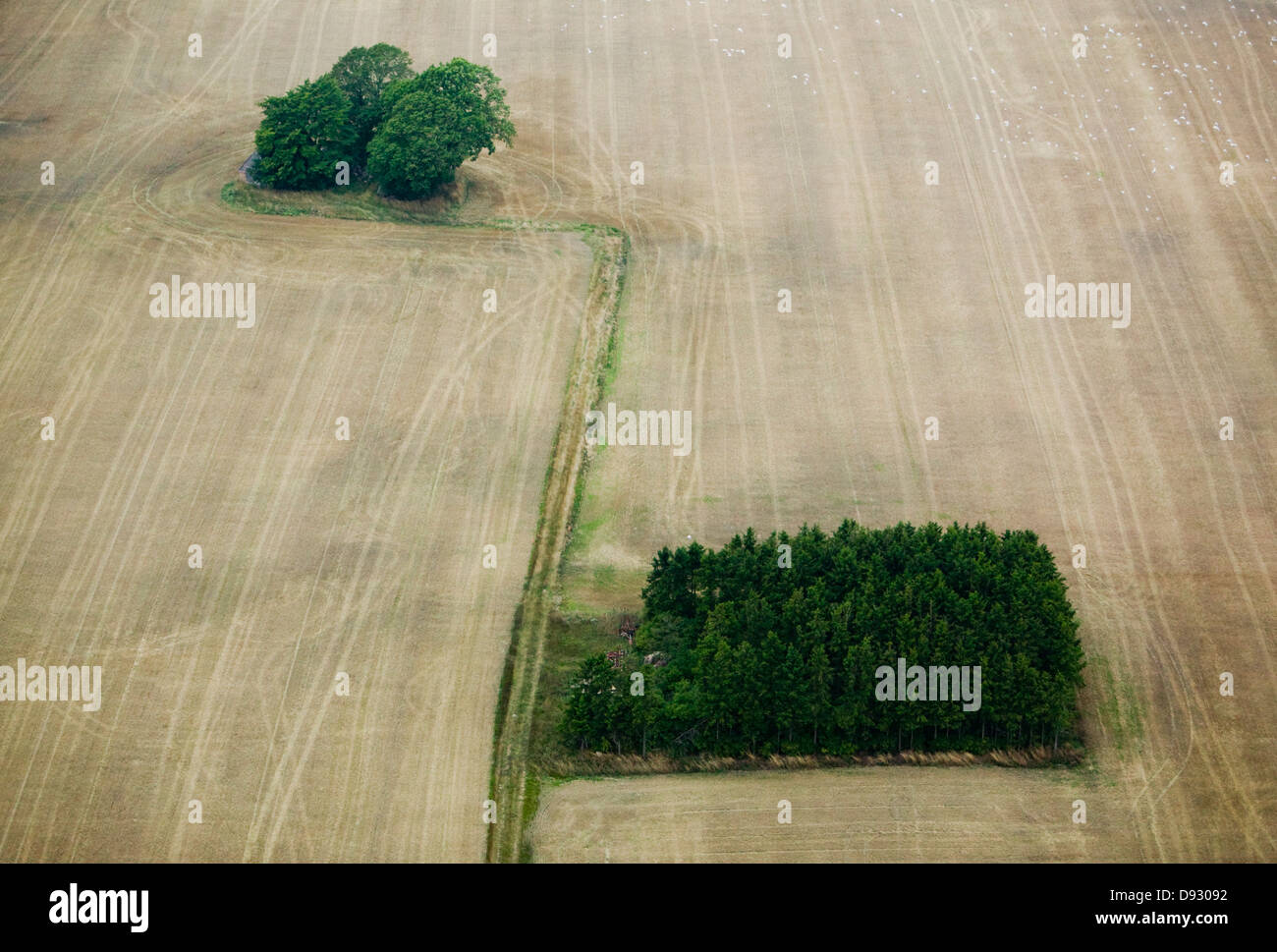 Field trees aerial hi-res stock photography and images - Alamy