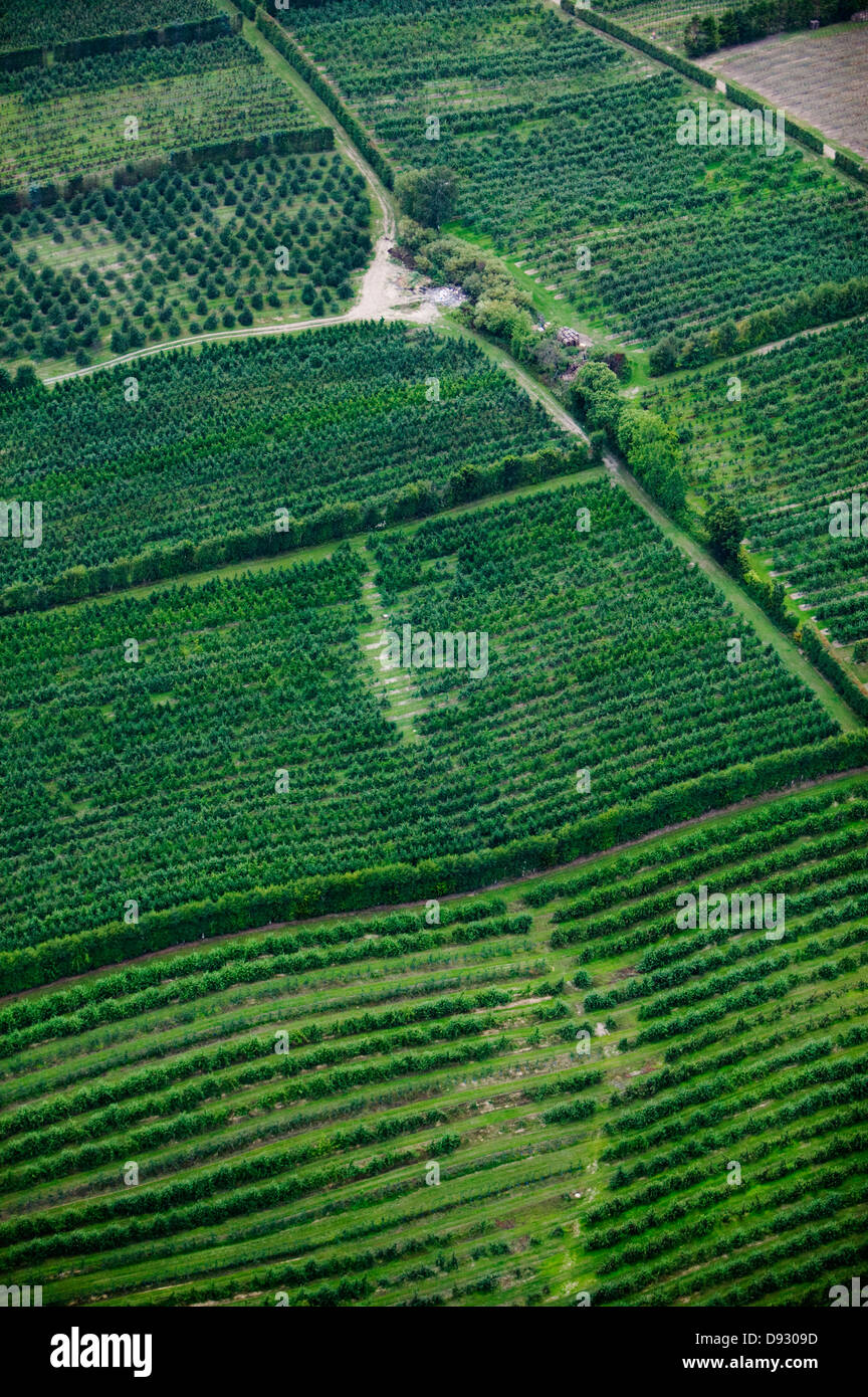Aerial photography of an apple plantation, Sweden Stock Photo - Alamy