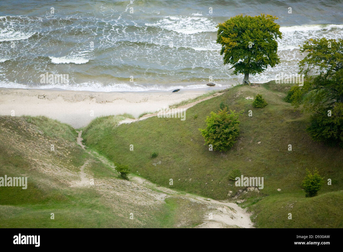 Trees by the sea, Sweden Stock Photo - Alamy