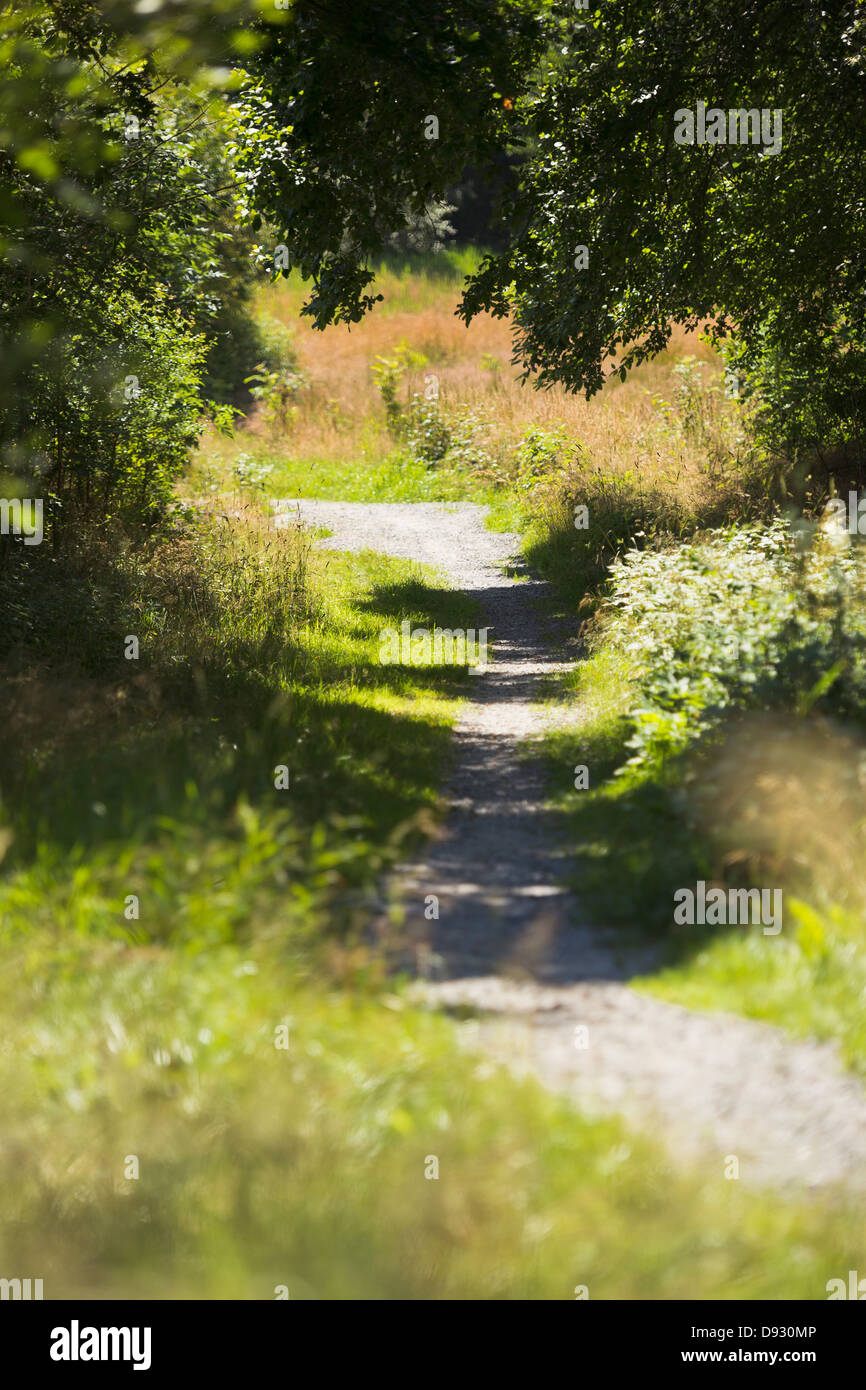 Path through grass Stock Photo - Alamy