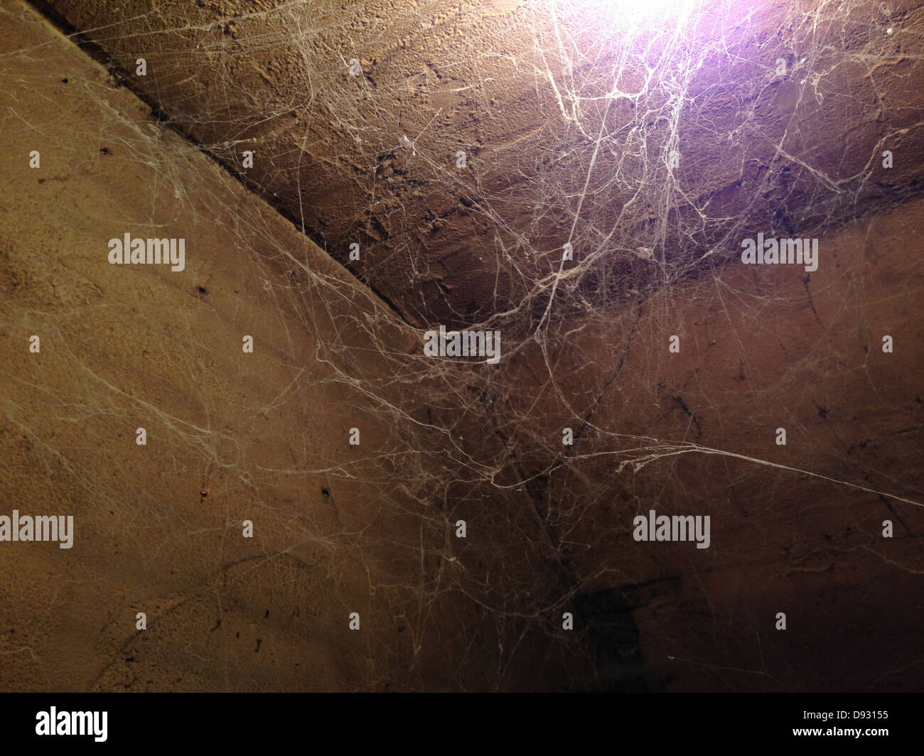 Dusty cobwebs in corner Stock Photo - Alamy