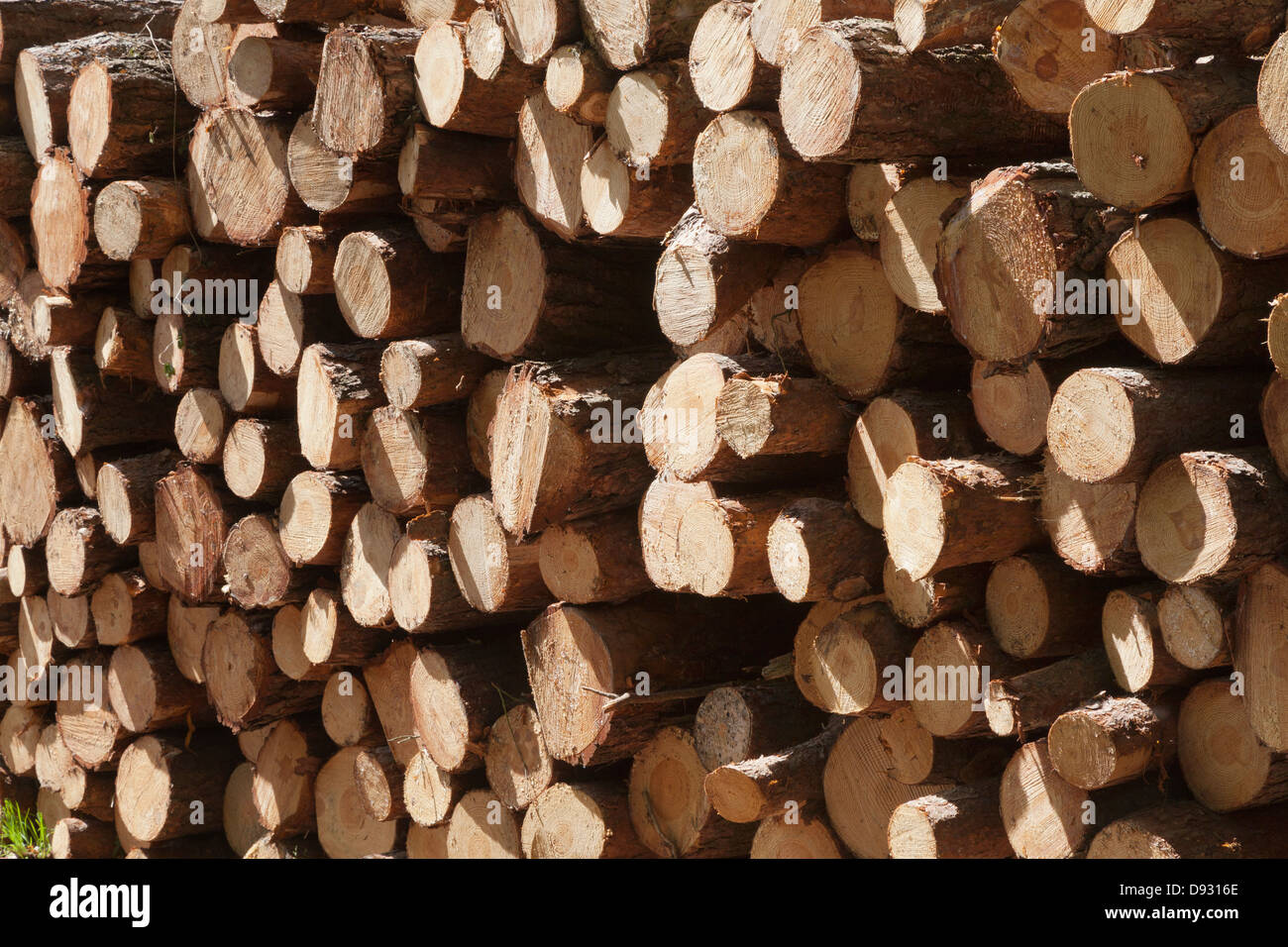 Recent hi-res stock photography and images - Alamy