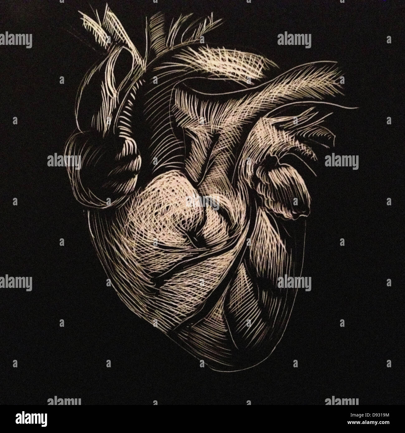 Scratchboard etching hi-res stock photography and images - Alamy