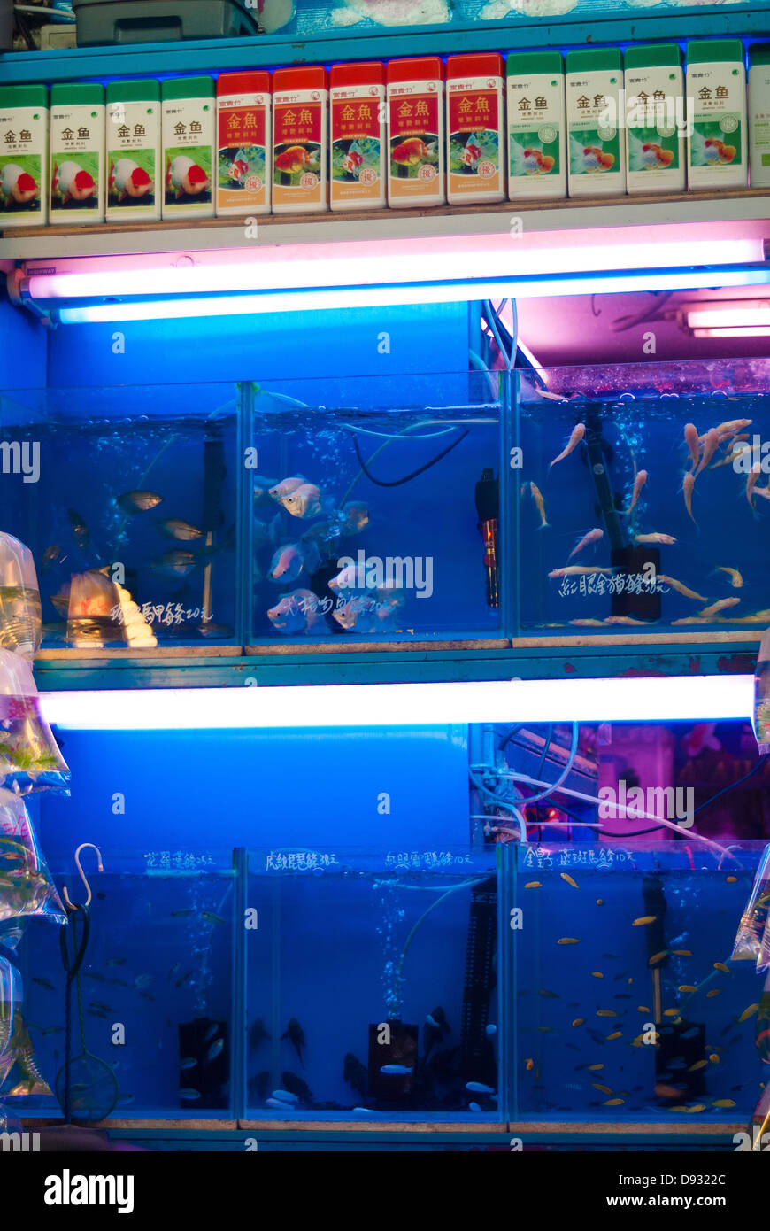 Fish tanks shop hi-res stock photography and images - Alamy