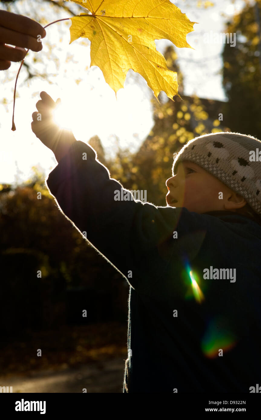Child with leaf hi-res stock photography and images - Alamy