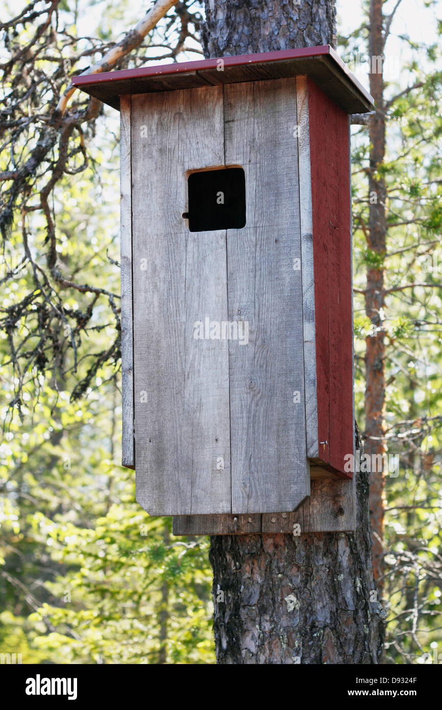 Bird house on tree Stock Photo - Alamy