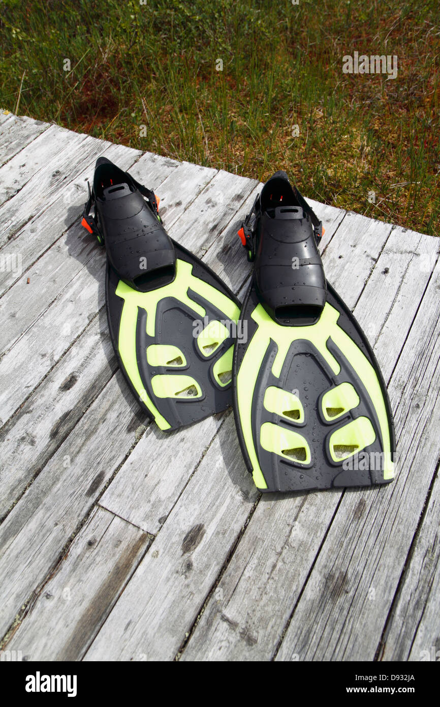 Flipper flippers hi-res stock photography and images - Alamy