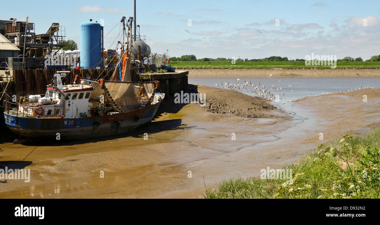 Shell fishing boats Fisher Fleet Kings Lynn Stock Photo - Alamy