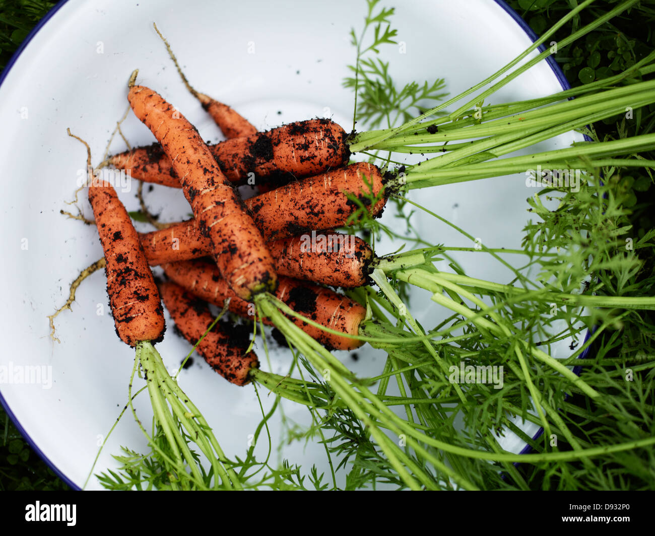 Freshly carrots hi-res stock photography and images - Alamy