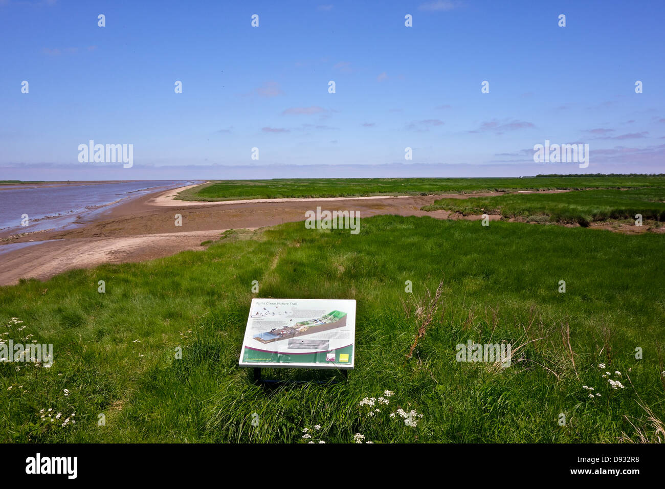 Point Green nature reserve The Wash salt marsh mud flats Stock Photo ...