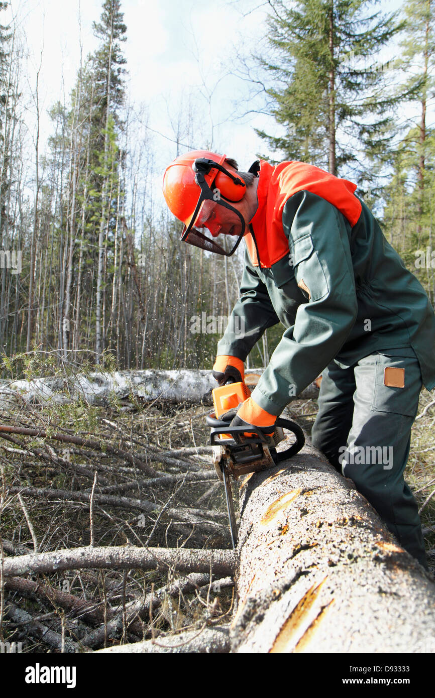Man sawing tree Stock Photo - Alamy